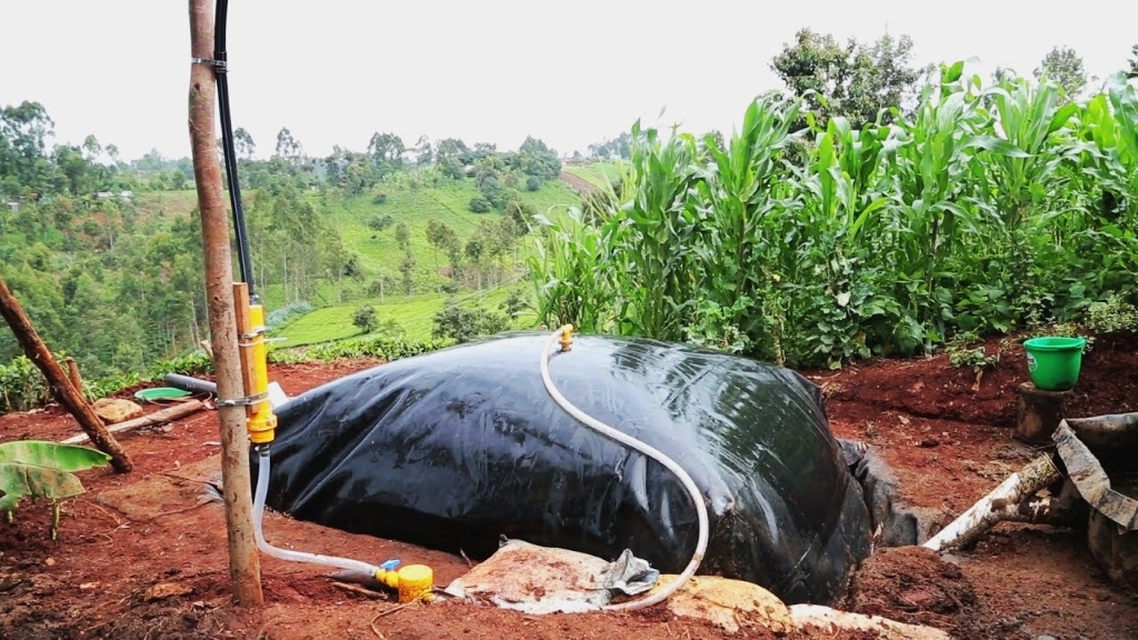 Bonelle Solutions Ltd - Empowering Communities with Clean Cooking